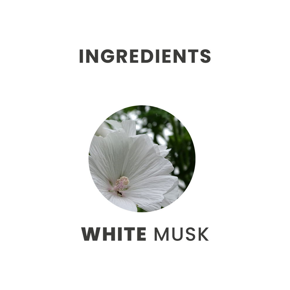 Tesori d'Oriente White Musk Bubble Bath Cream – Haytam Parfumerie